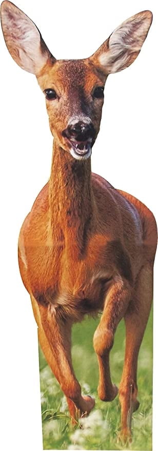 aahs!! Engraving Animal Life Size Cardboard Cutout Stand Up | Standee ...