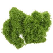 Ashland® Dried Forest Real Plants - Quality Growers Moss Variety Pack ...
