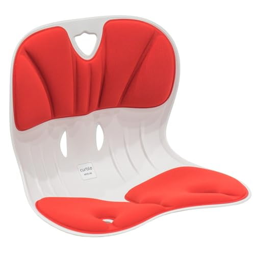 ablue Curble Chair Support - Wider Posture Corrector, Ergonomic, Water ...