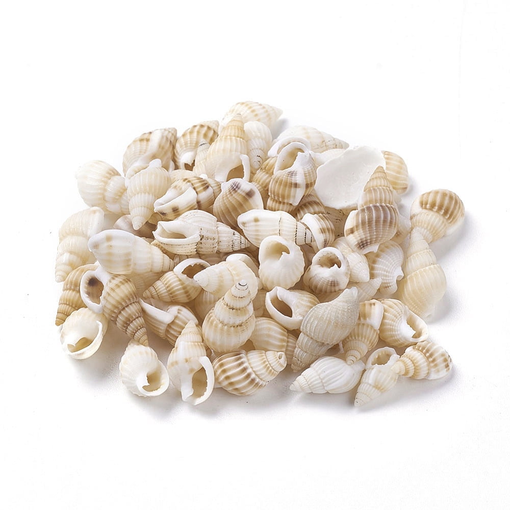 about 550pcs Cowrie Shell Beads Natural Spiral Shell Beads Bulk Sea ...