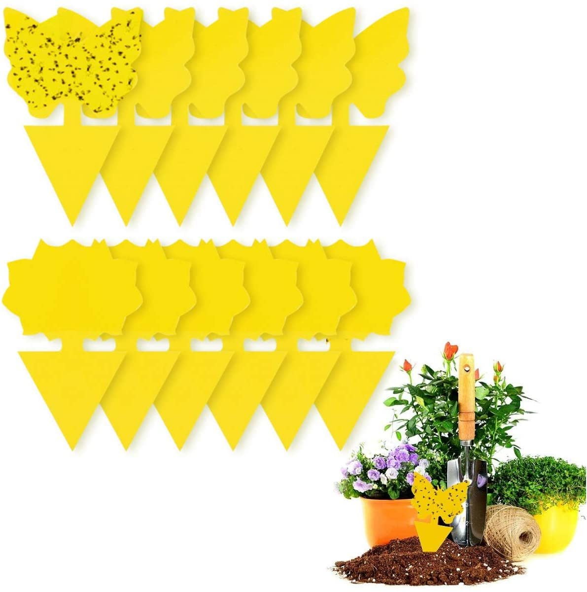 junqi 12 Pack Sticky Fruit Fly Traps and Fungus Gnat Trap Killer for ...