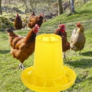 Gaun Galvanized Metal Chicken Feeder - Walmart.com