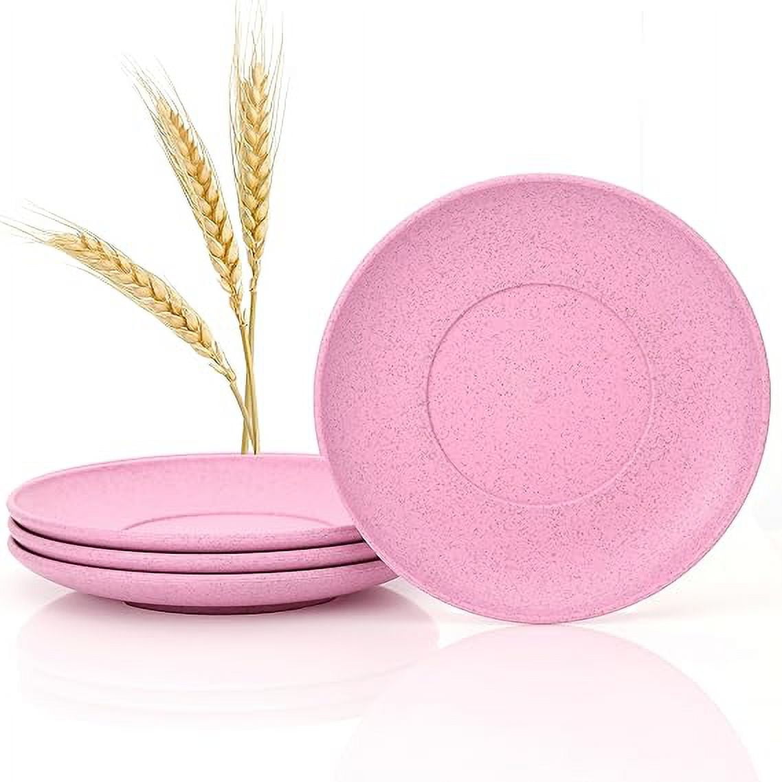 acdanc Straw Plates - Set of 4 - Small Plates 6 inch Lightweight ...