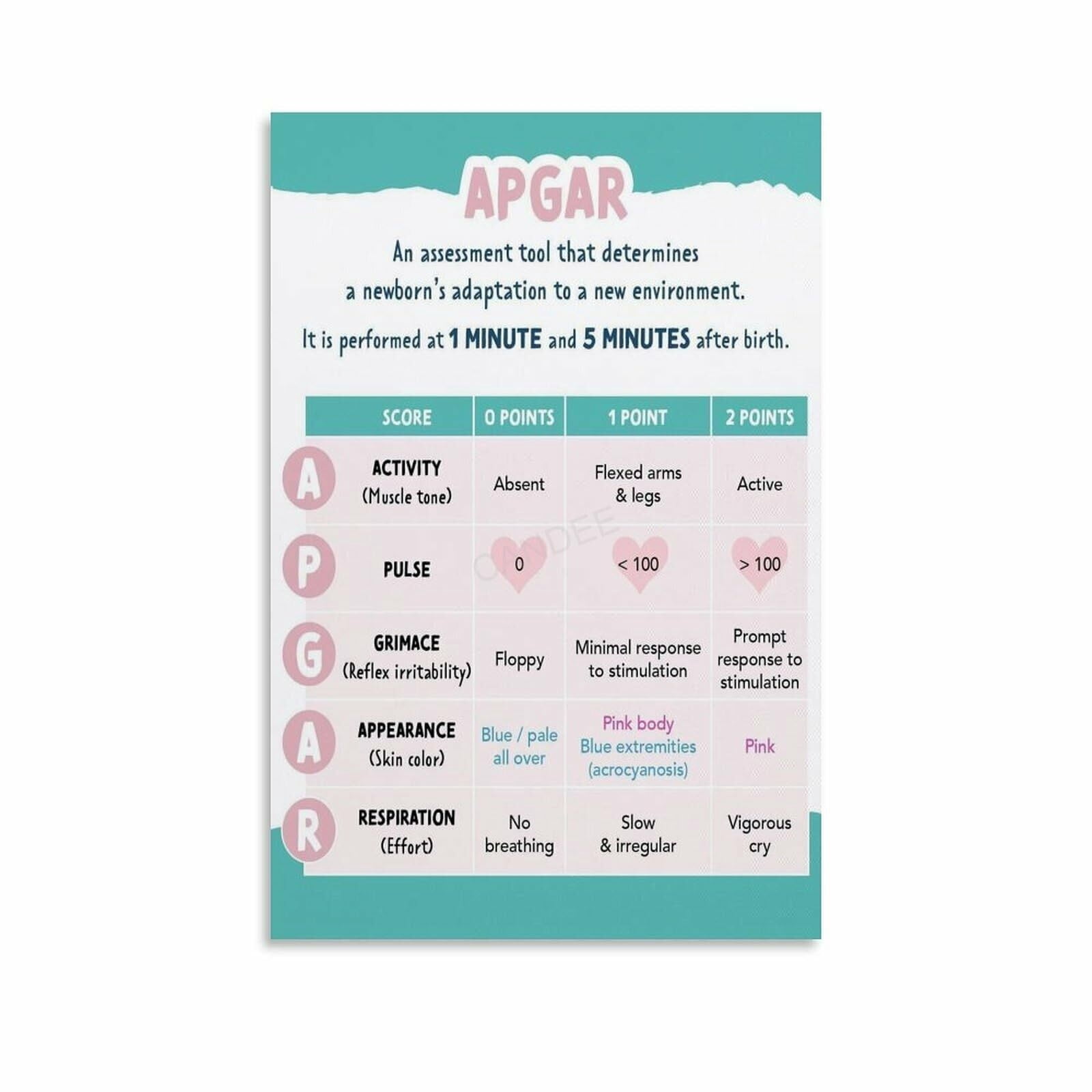 ad Normal Vital Signs in Pediatrics by Age Chart Poster (8) Canvas ...