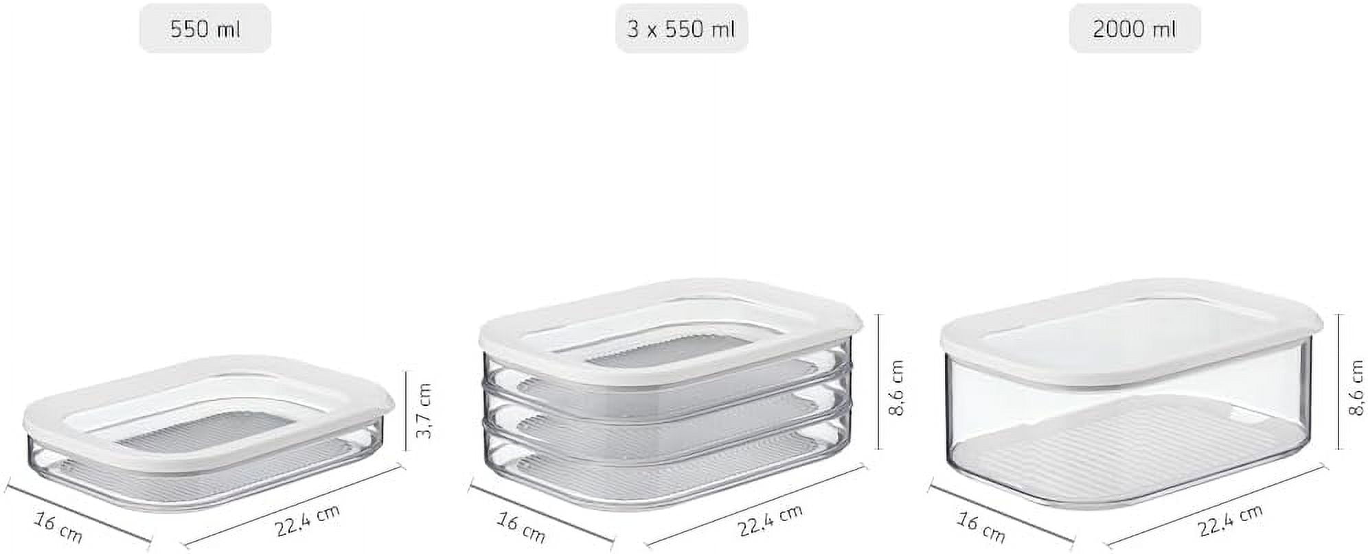 aduiopbnk Modula Rounded Food Storage Box with Lid | Ideal for Cold ...