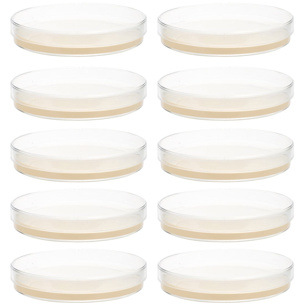 agar plates 10pcs Prepoured Agar Plates Petri Dishes with Agar Science ...
