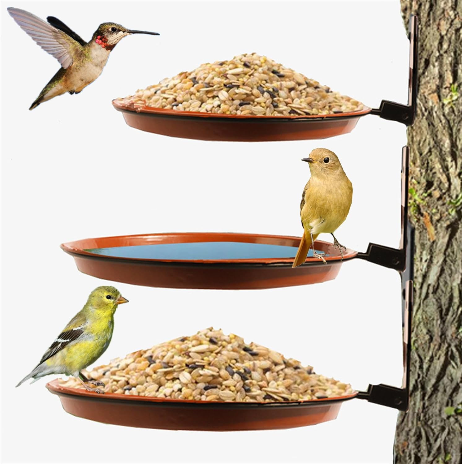 alfyng 3 Bird Feeder Trays Parrots Bath Bowl, Tree Mounted Installed on ...