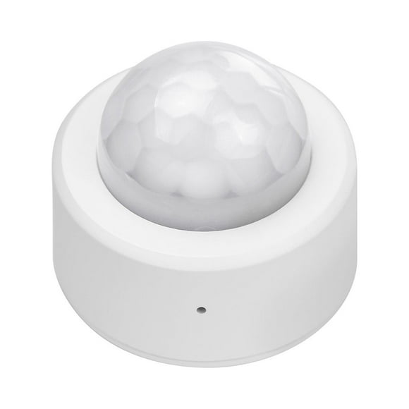 Smart Motion Sensors in Smart Detectors & Smart Sensors - Walmart.com