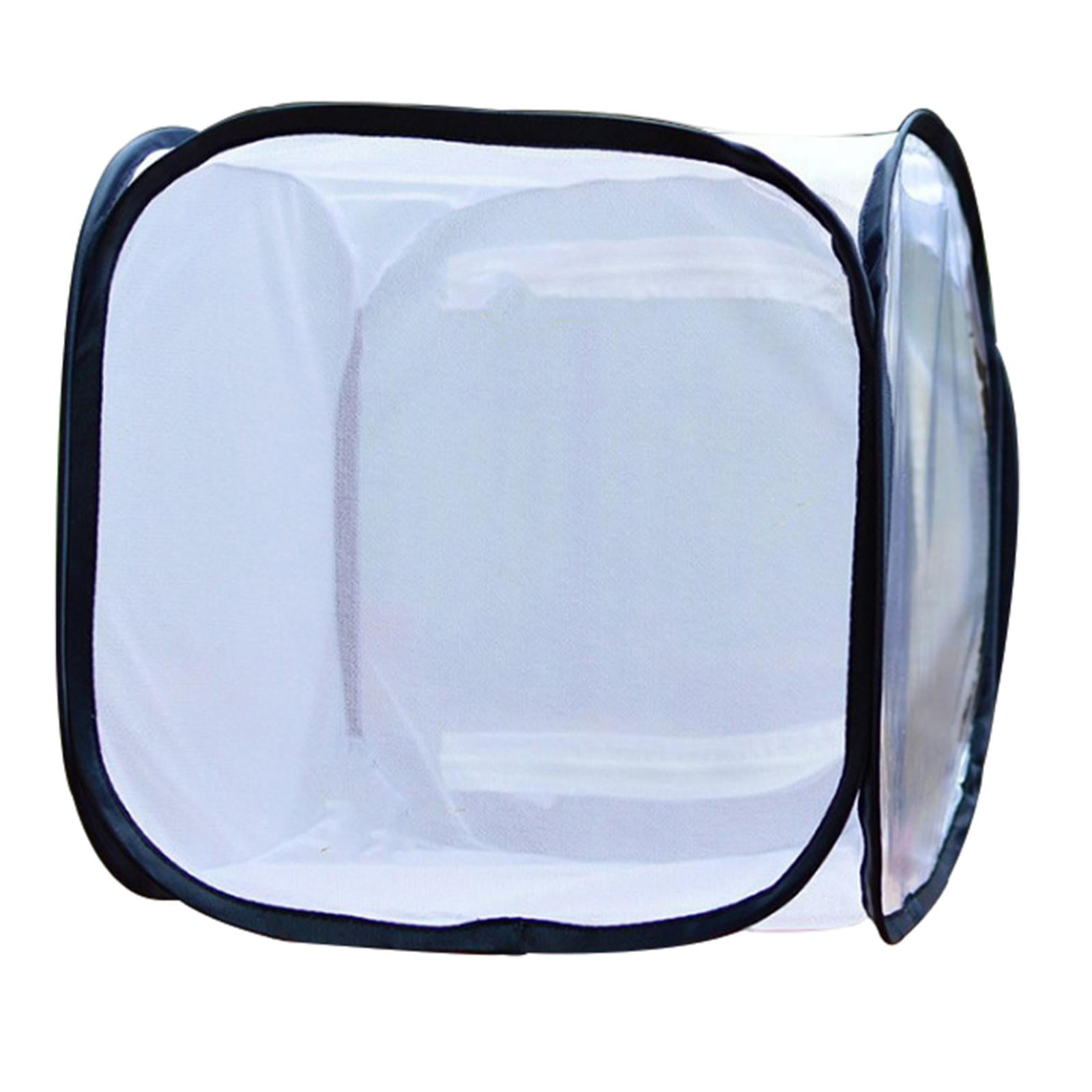 and Butterfly Cage for Grasshopper Nature Observation Raising - Walmart.com