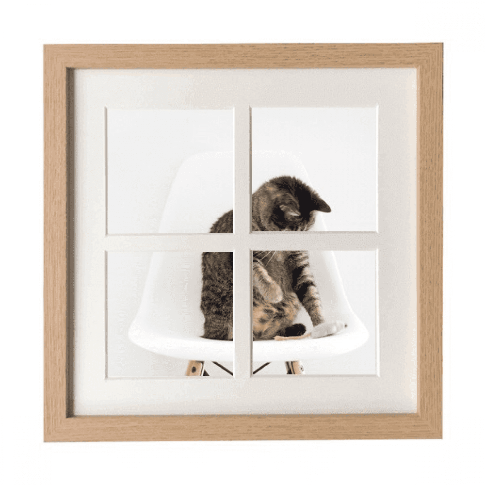 animal funny action cat Frame Wall Tabletop Display 4 Openings Picture ...
