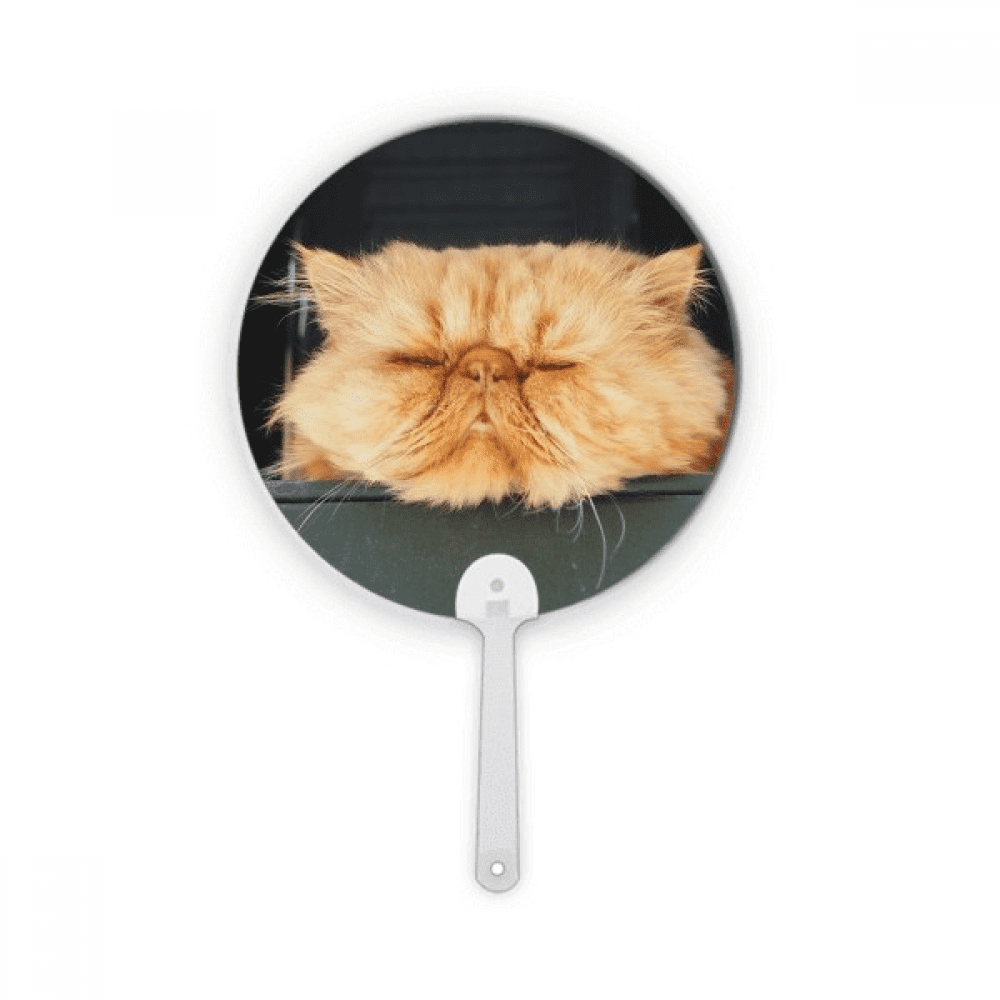animal funny yellow cat Plastic Round Handheld Fan Decorations Craft ...