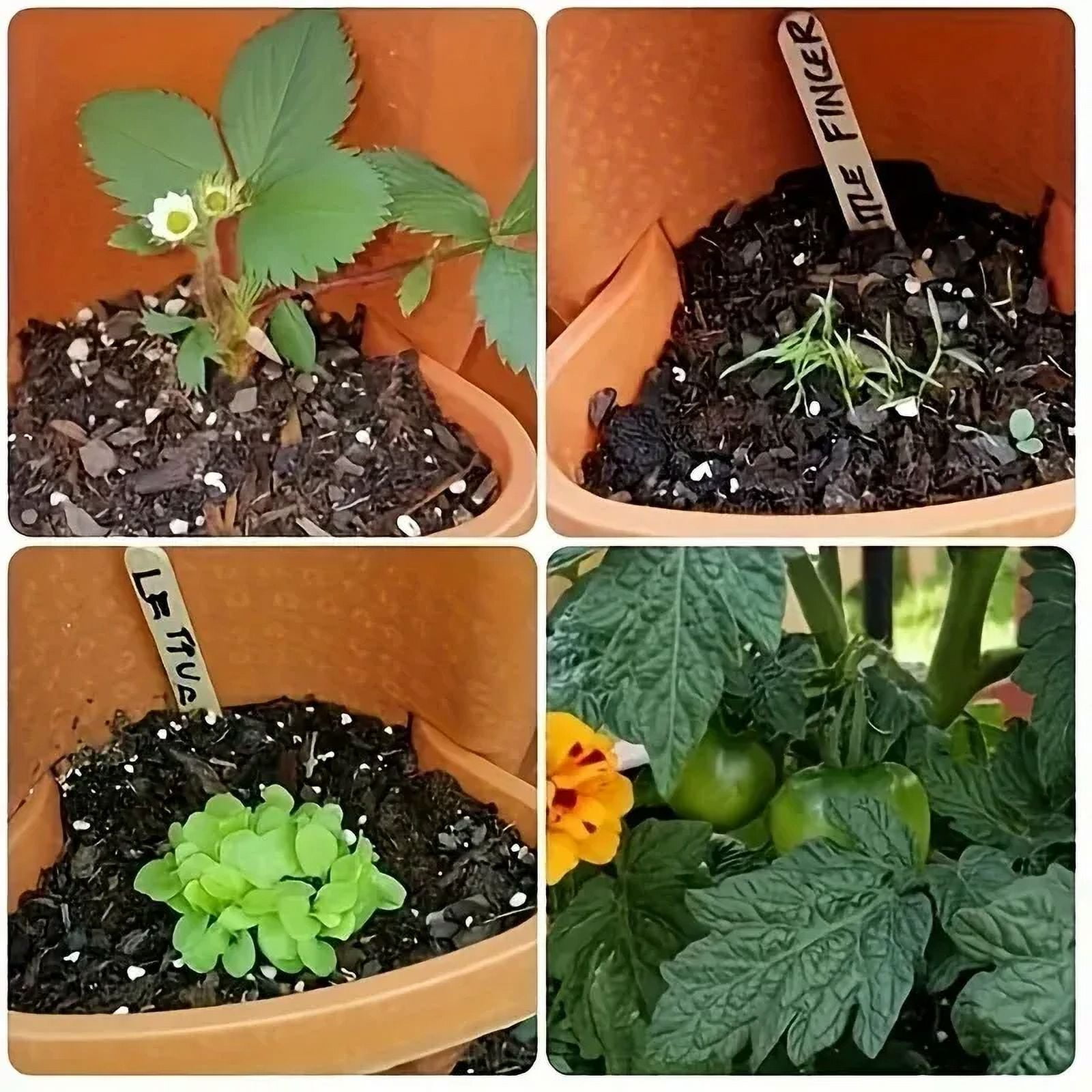 ant atmosphere with this versatile and stylish vertical herb planter ...