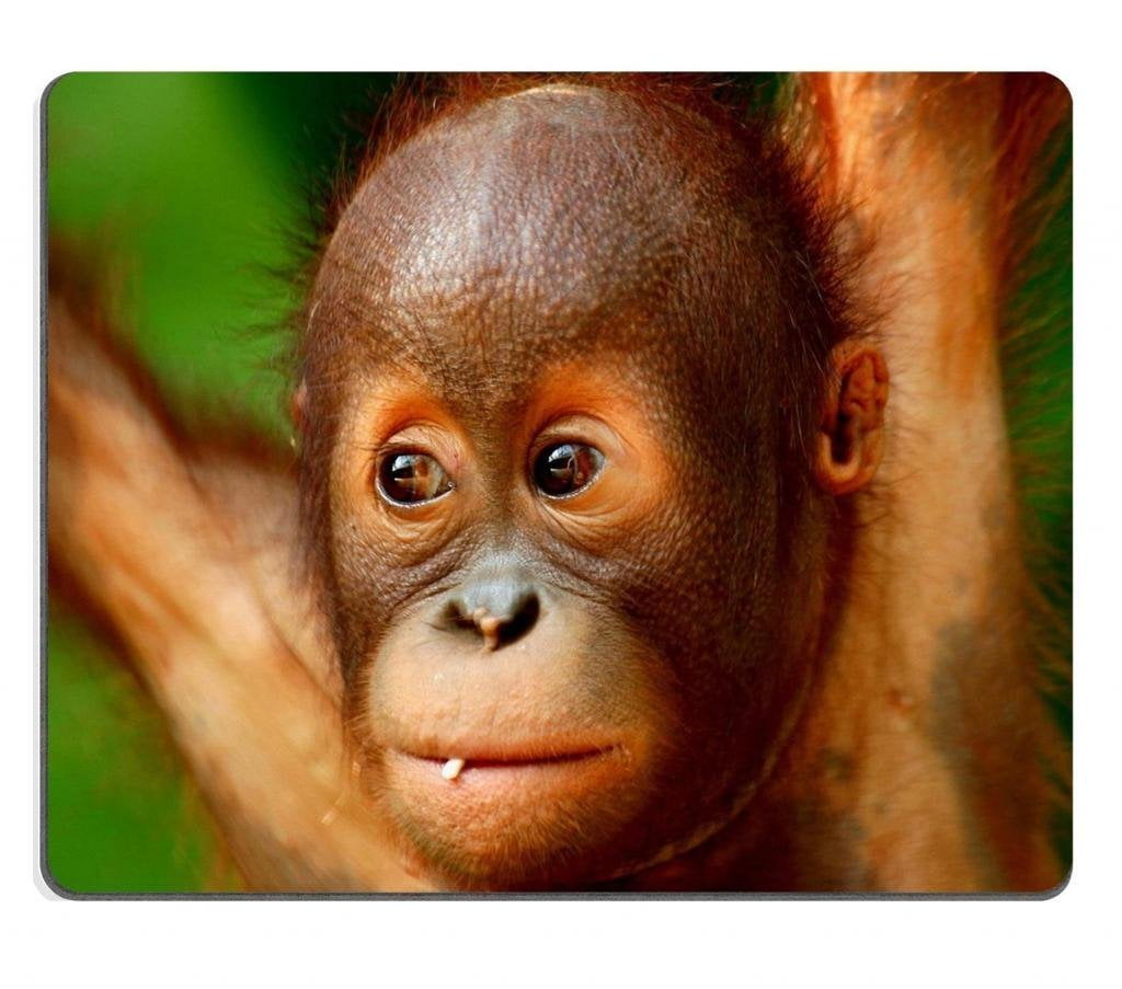 ape monkey animals Mouse pads Gaming Mouse Pad 9.84x7.87 inches ...