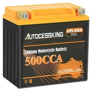 Lexus RX Batteries in Lexus Batteries - Walmart.com