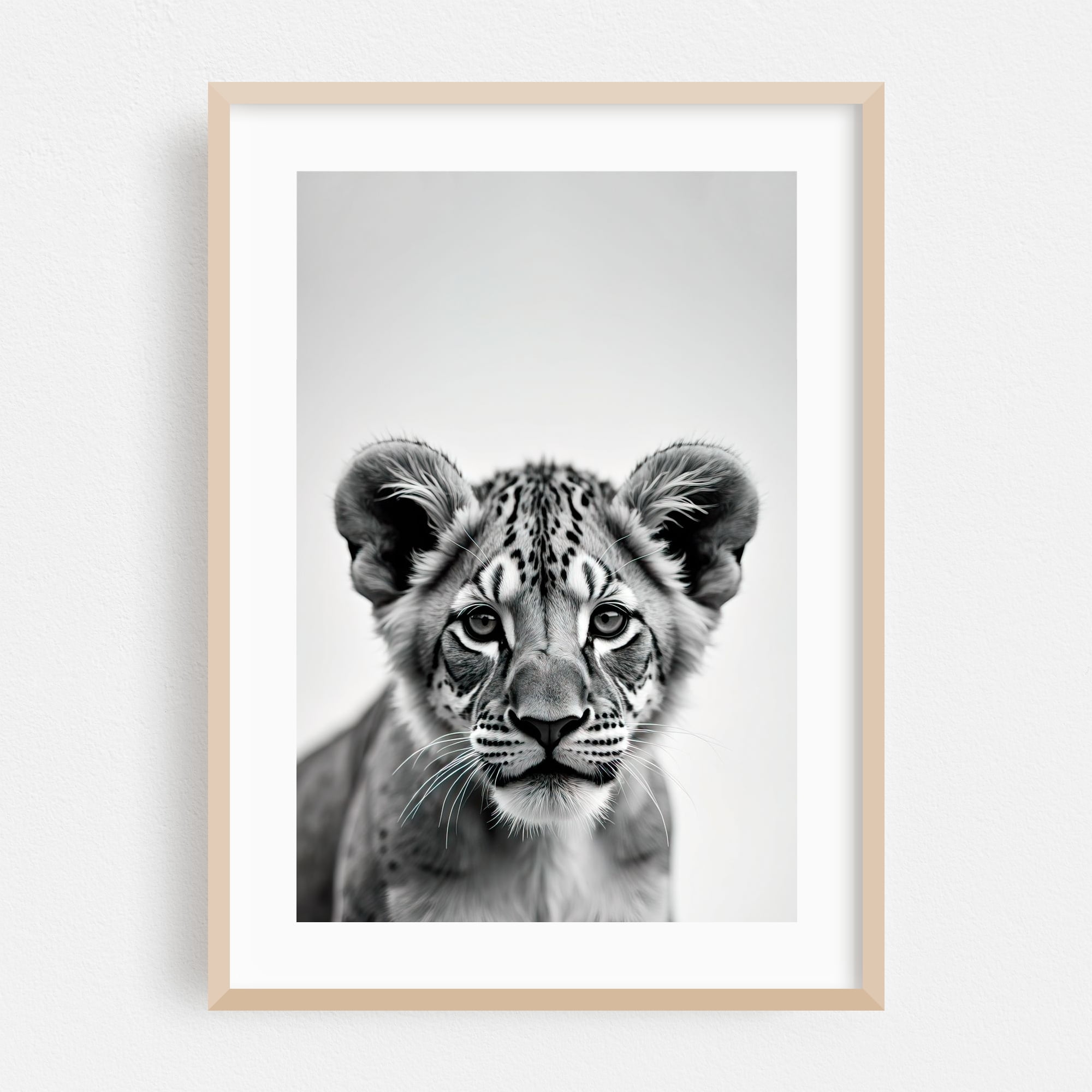 baby lion - Photography Tiger Wildlife Black and White Animal Portrait ...