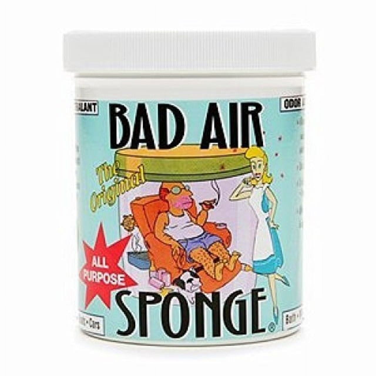 bad air sponge air odor absorbent (pack of 6) - Walmart.com