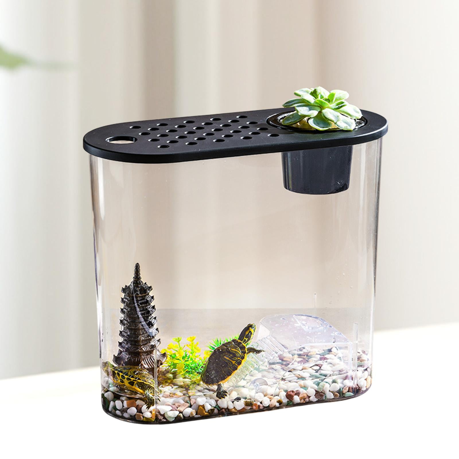 balikha Desk Aquarium Container Lightweight Storage Jar Terrarium for ...