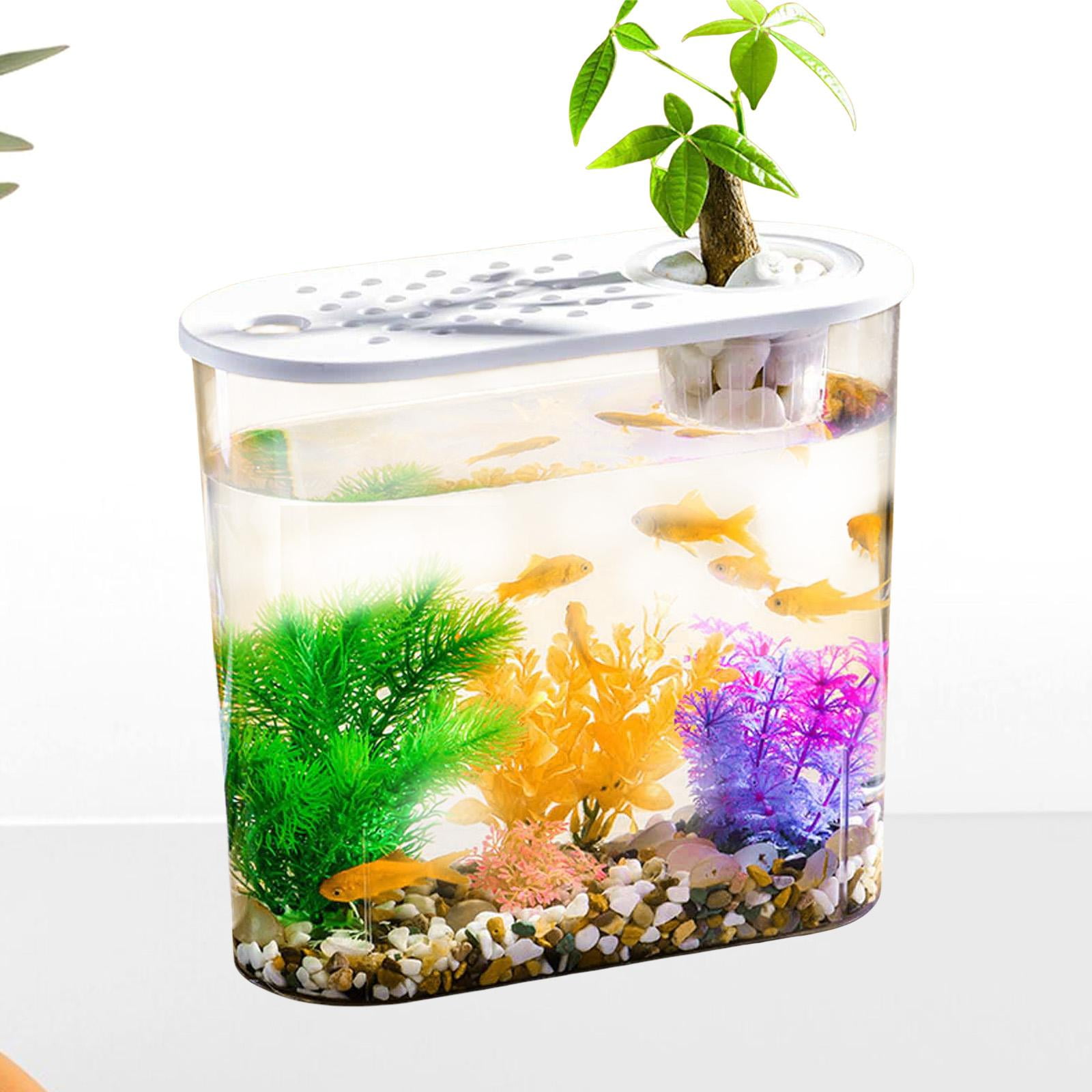 balikha Desk Aquarium Container Lightweight Storage Jar Terrarium for ...