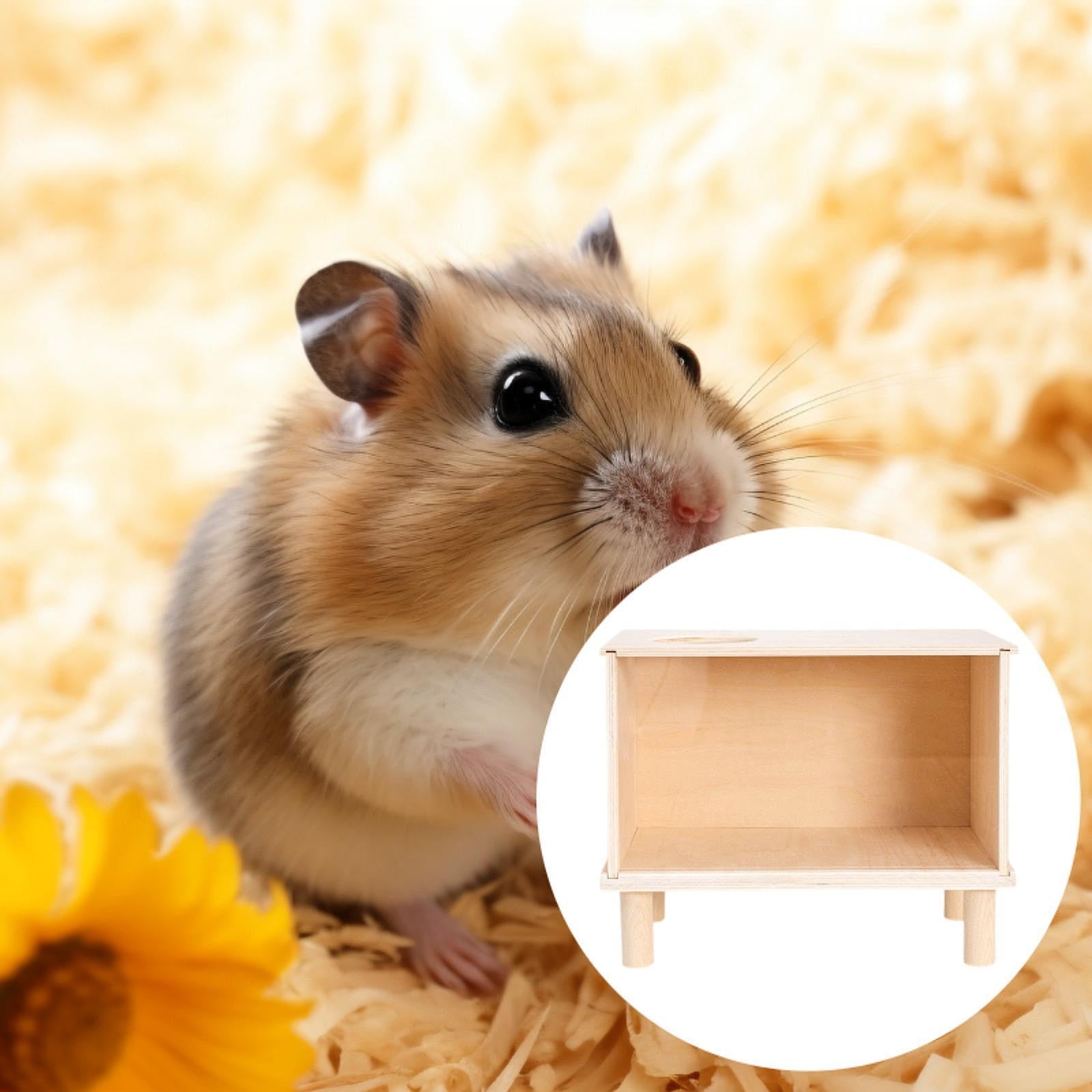 balikha Hamster Digging Box Toy Hamster House for Rat Dwarf Hamster ...