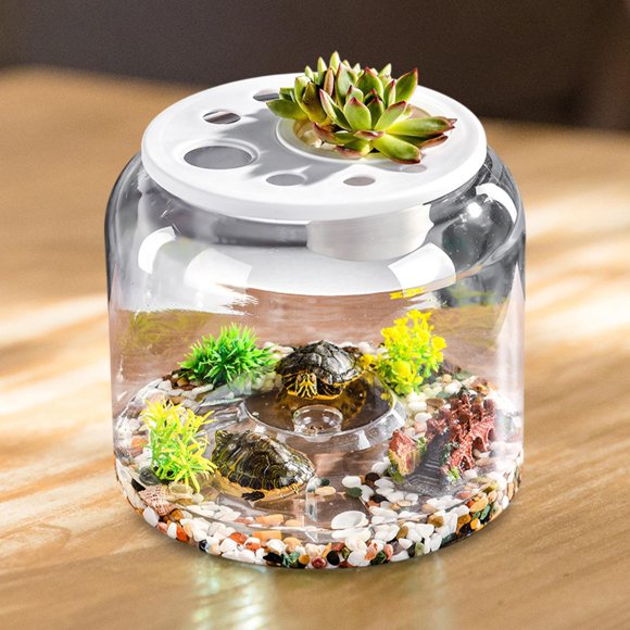 Turtle Tanks in Turtles - Walmart.com