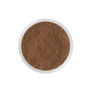 Glo Skin Beauty Perfecting Powder Translucent for Women, 0.31 Oz ...