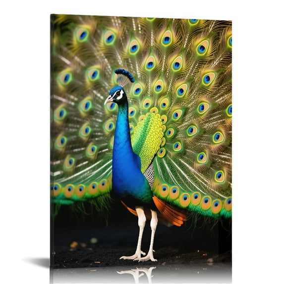 beautiful peacock Art Print Painting for Home Decorations , Canvas ...