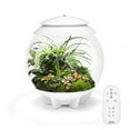 biOrb AIR 30 Terrarium - White, Acrylic - Walmart.com