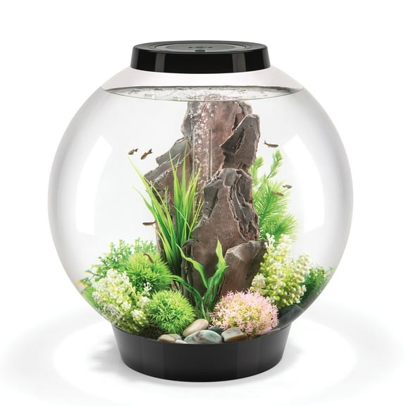 biOrb CLASSIC 15 Aquarium with Standard Light - 4 Gallon, Black ...