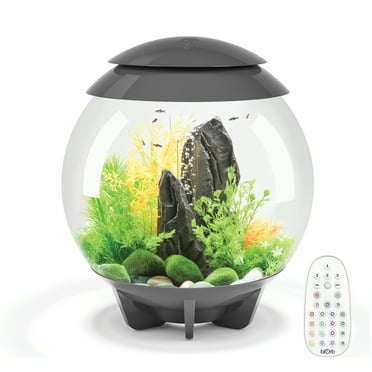 GloFish 2.5 Gallon Corner Aquarium Kit, Includes LED Lighting and ...