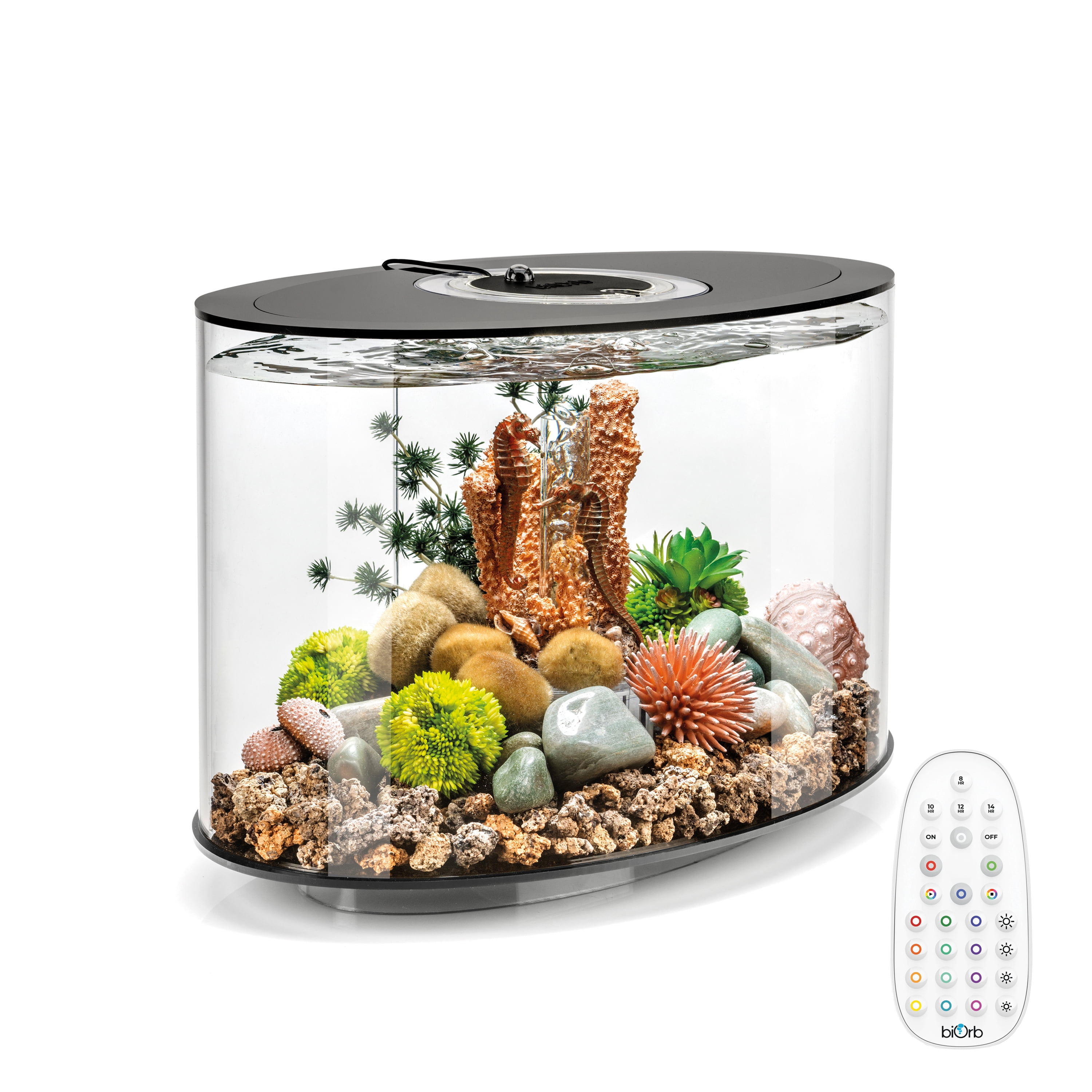 biOrb LOOP 15 Aquarium with MCR Light - 4 Gallon, Black - Walmart.com