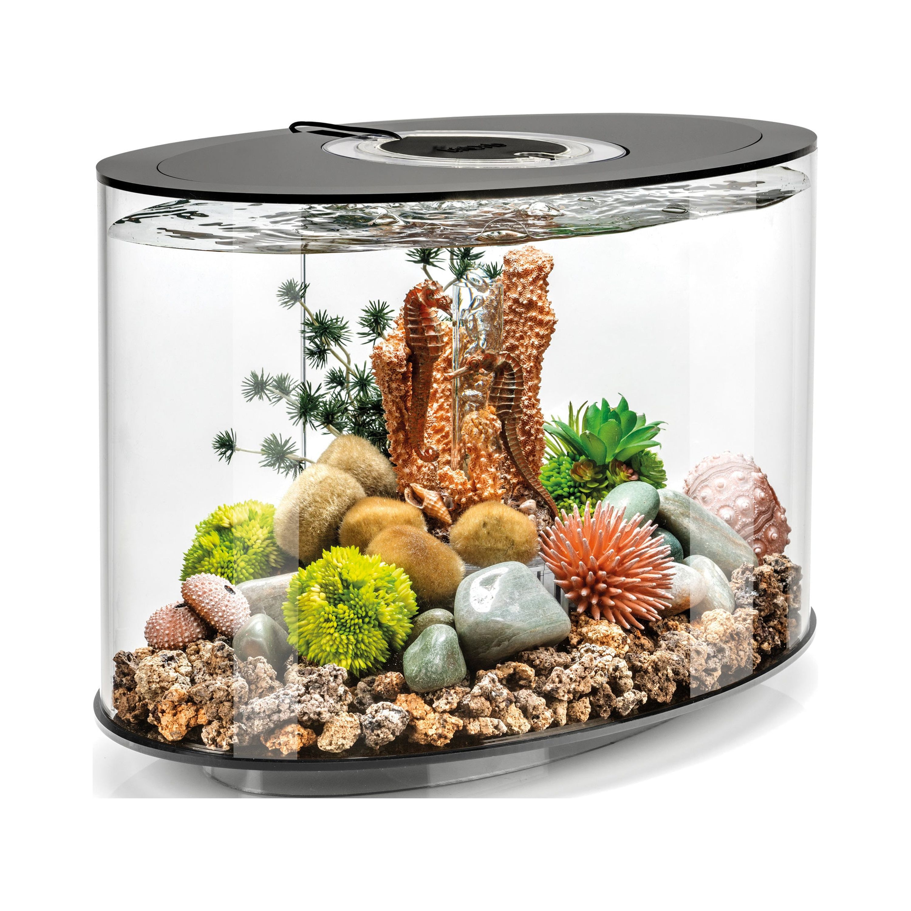 Fluval 9-Gallon FLEX Aquarium Kit, Black - Walmart.com