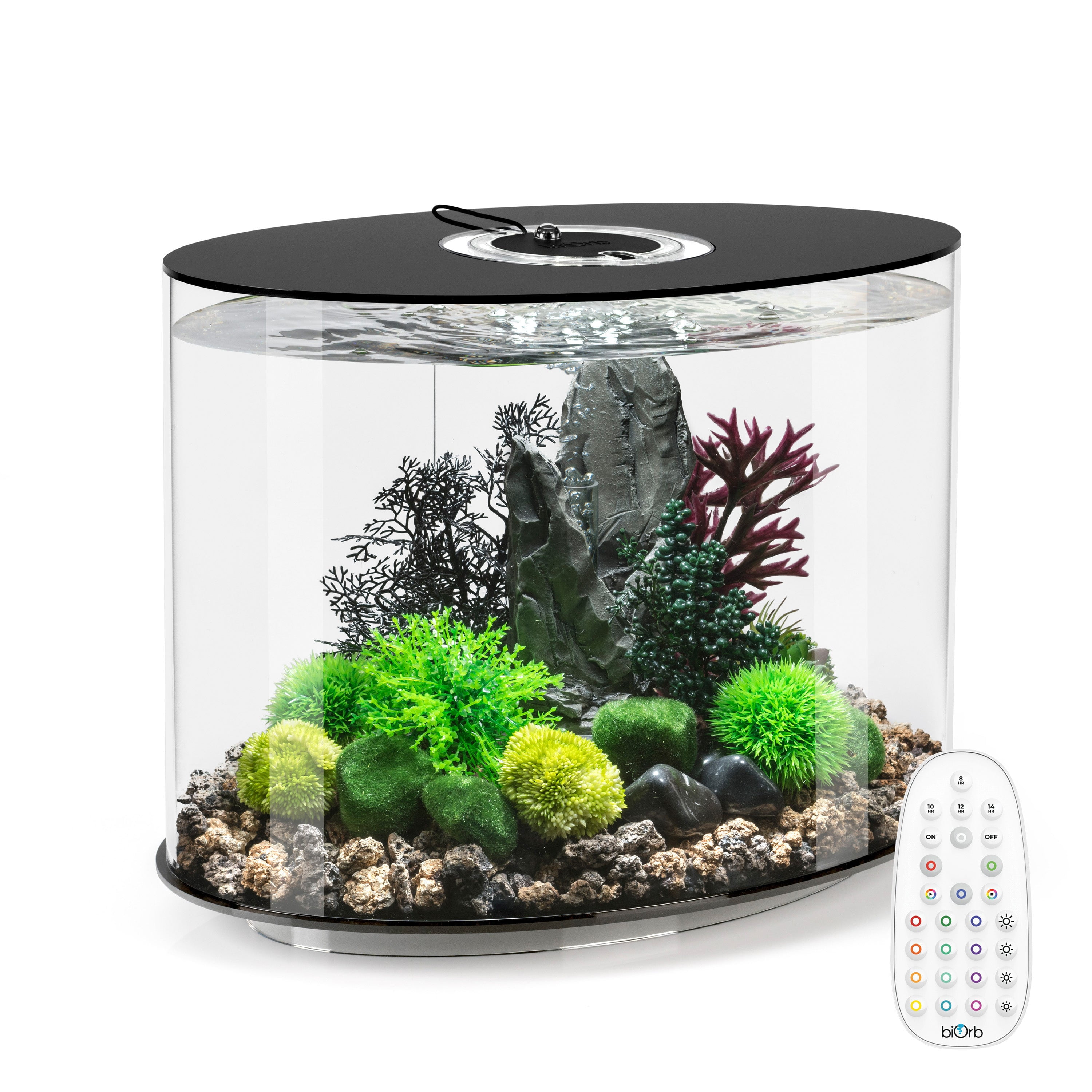 biOrb LOOP 30 Aquarium with MCR Light - 8 Gallon, Black - Walmart.com