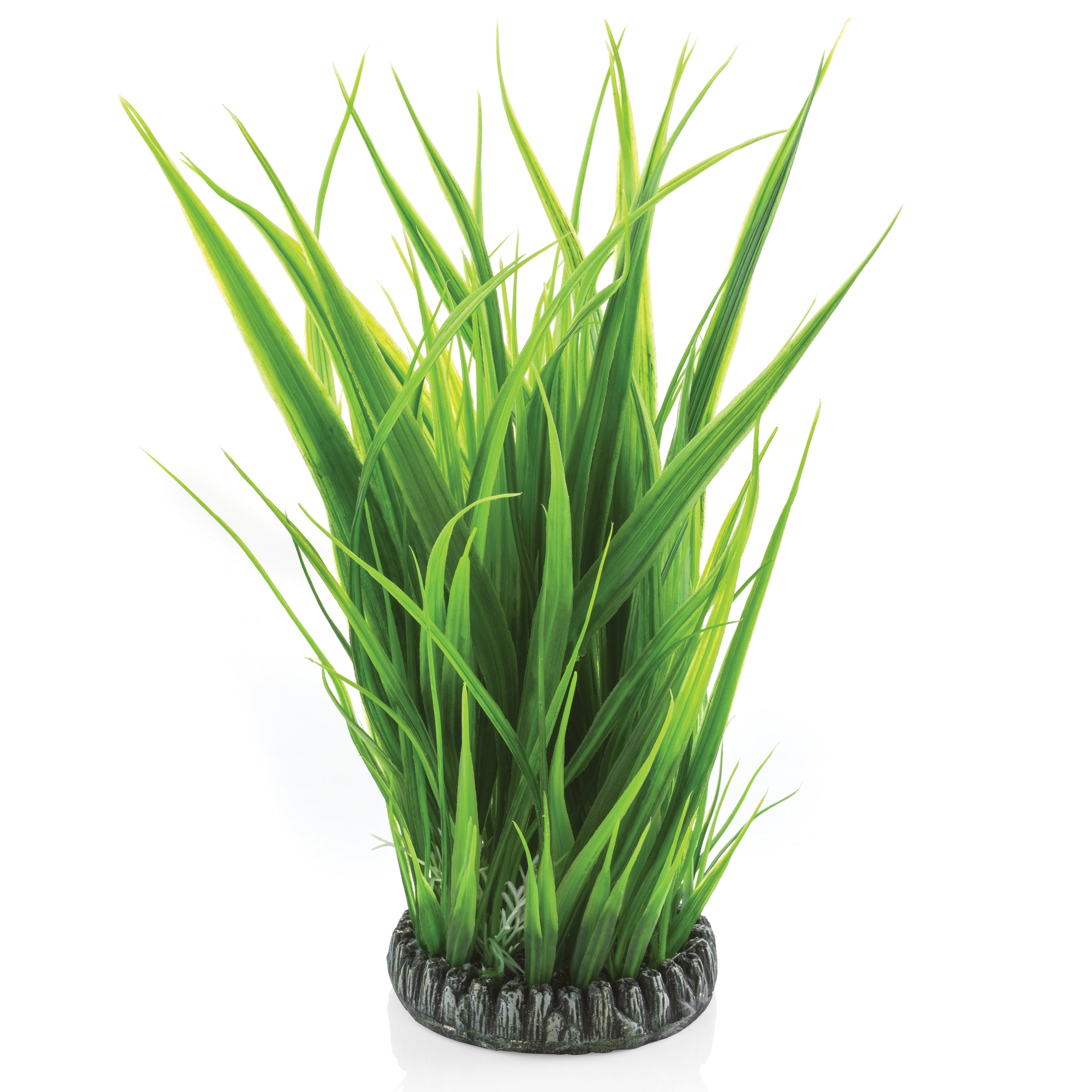biOrb Large Grass Ring - Aquarium Decor - Walmart.com