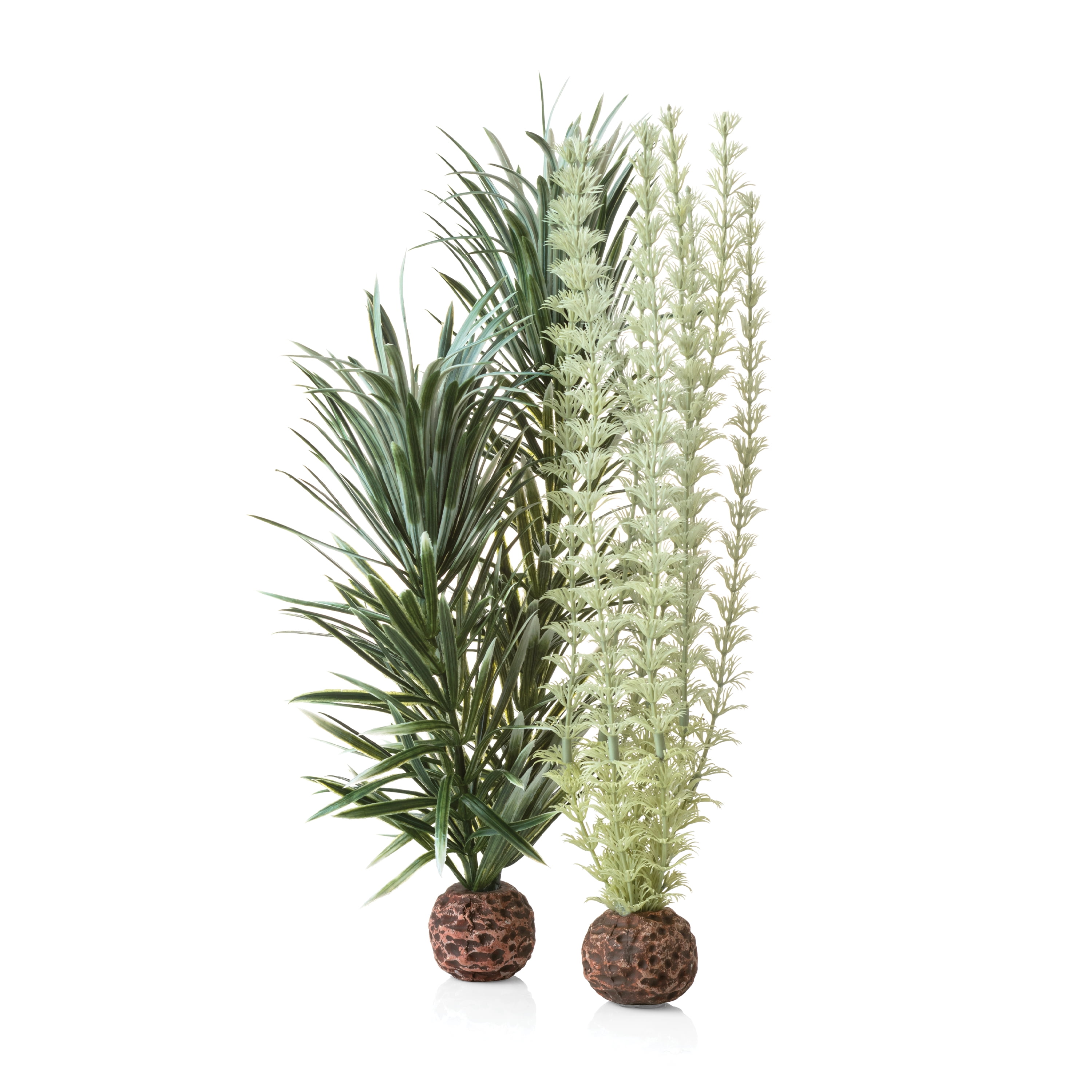 biOrb Medium Ambulia Plant Set - Aquarium Plant Decoration - Walmart.com