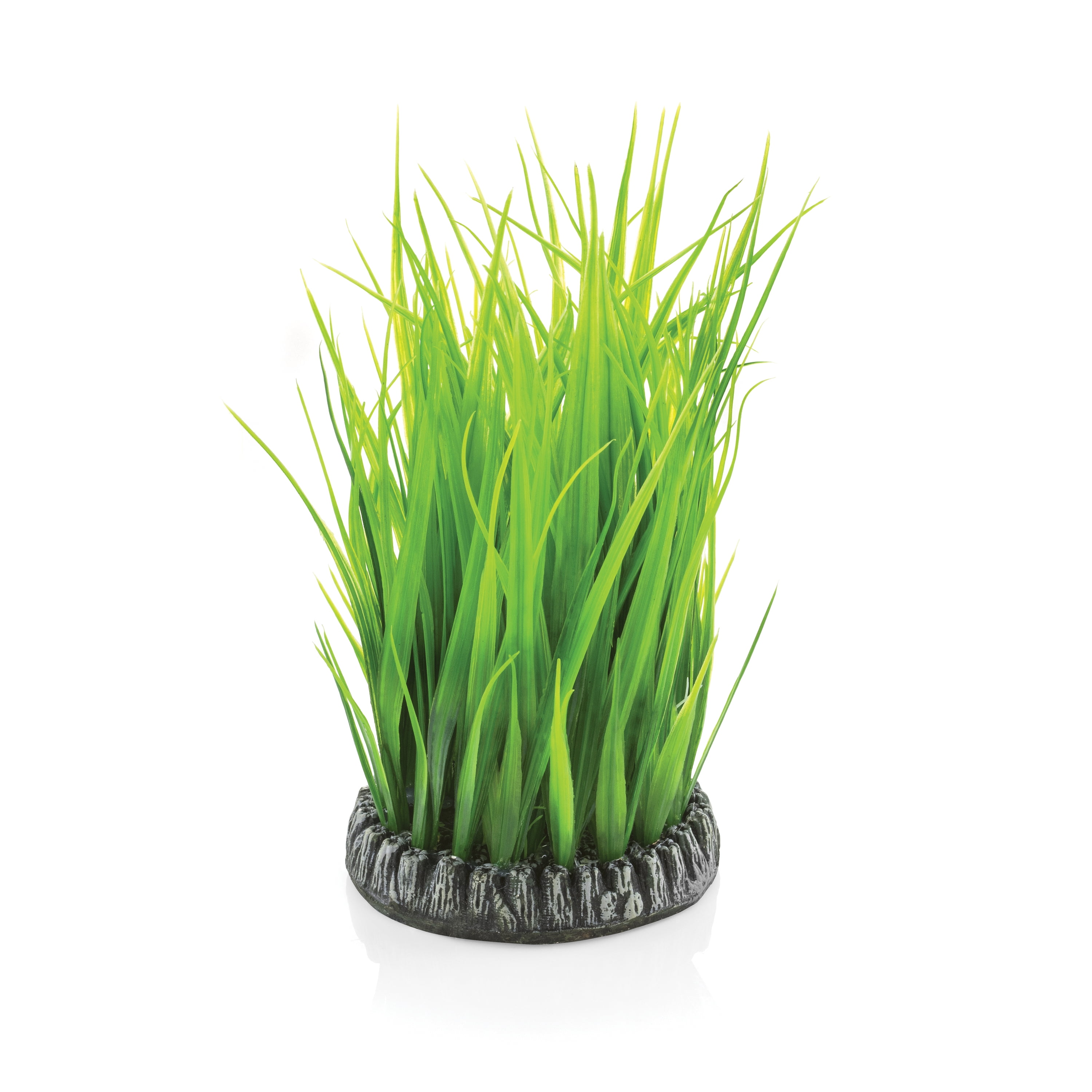 biOrb Medium Grass Ring - Aquarium Decor - Walmart.com