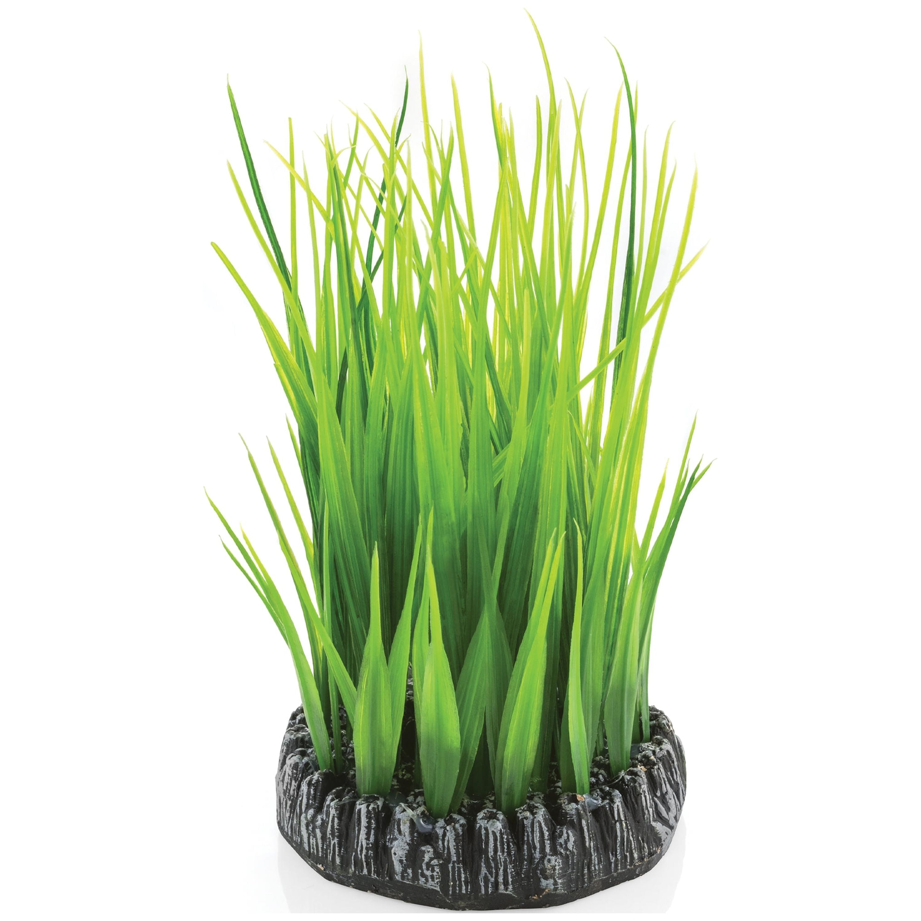 biOrb Small Grass Ring - Green Aquarium Decor - Walmart.com