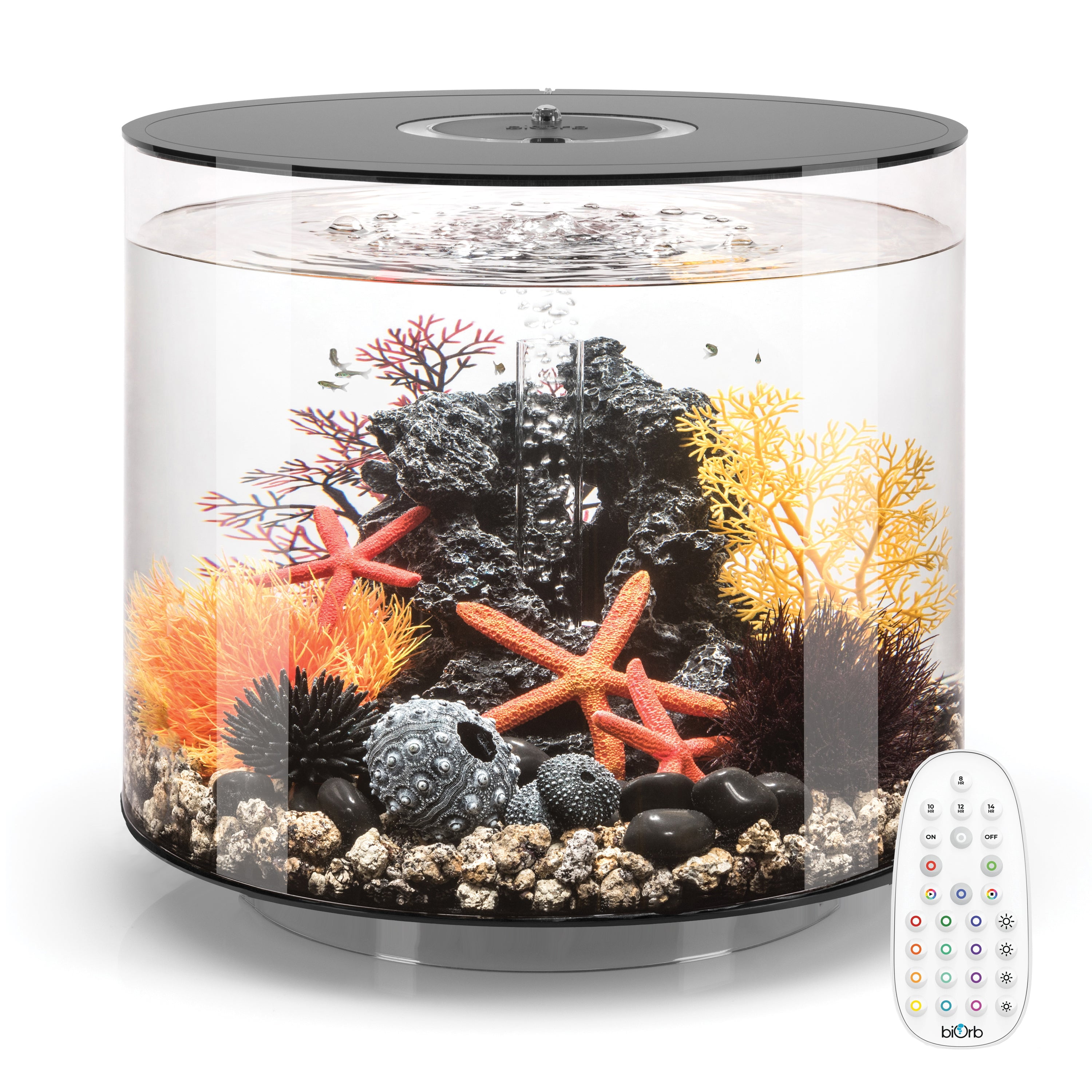 biOrb TUBE 35 Aquarium with MCR Light - 9.2 gallon, black - Walmart.com