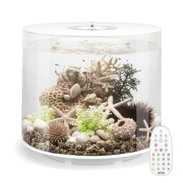 biOrb LOOP 30 Aquarium with MCR Light - 8 Gallon, Black - Walmart.com