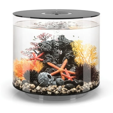 biOrb LOOP 30 Aquarium with MCR Light - 8 Gallon, Black - Walmart.com