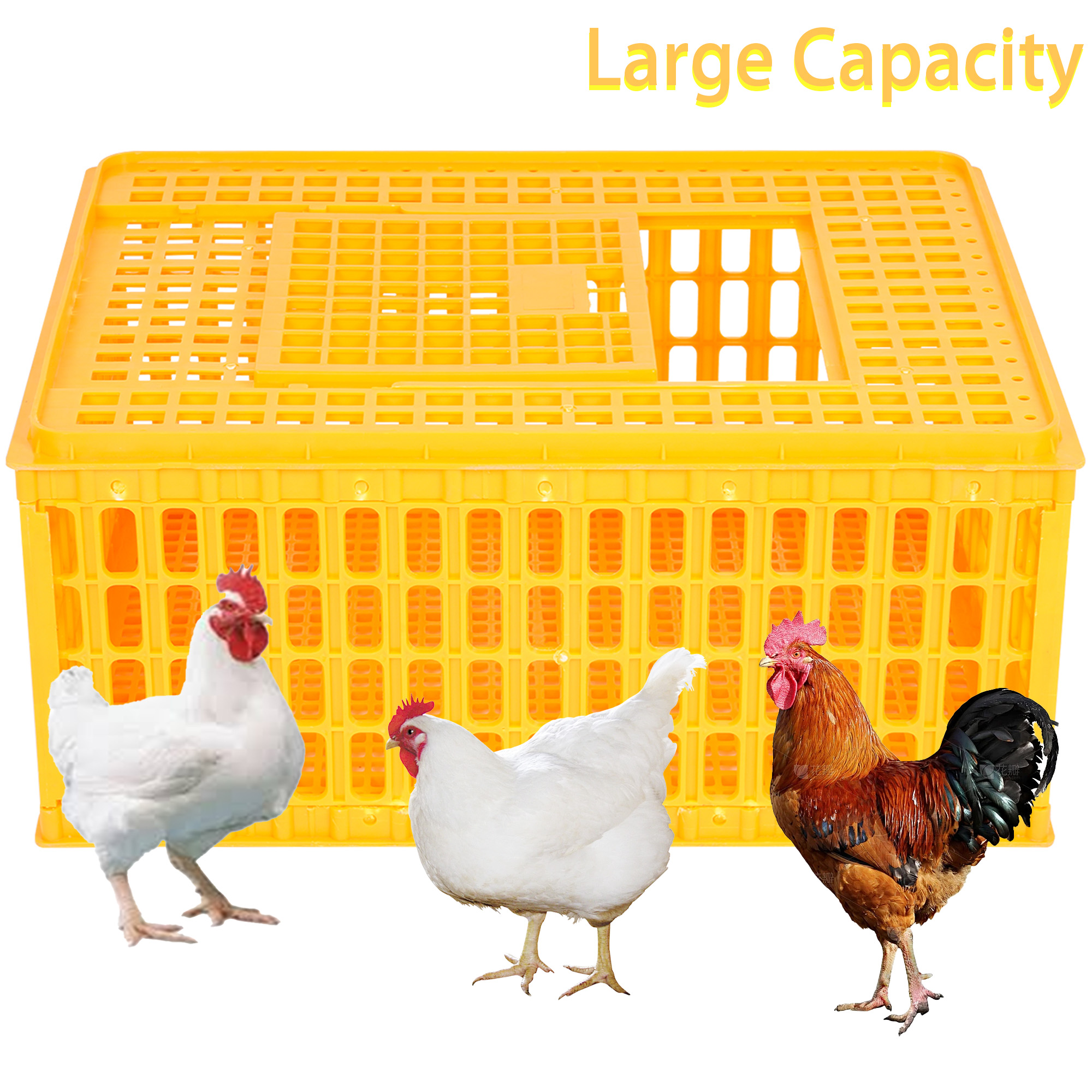 Rite Farm Products Large Poultry/Gamebird Transport Cage/Coop, Heavy ...