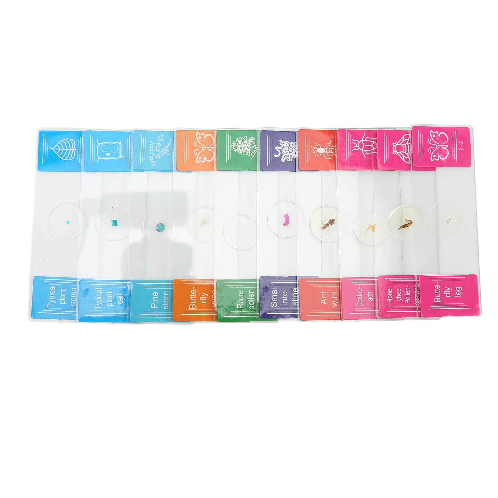 biological slides, 10pcs microscope slides, biological slide specimens ...
