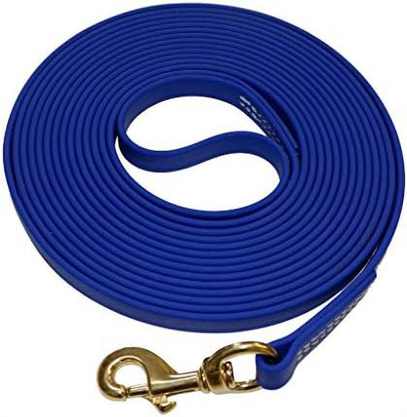 Biothane Waterproof Weather Dog Leash with Brass Hardware (5/8" x 25 ...