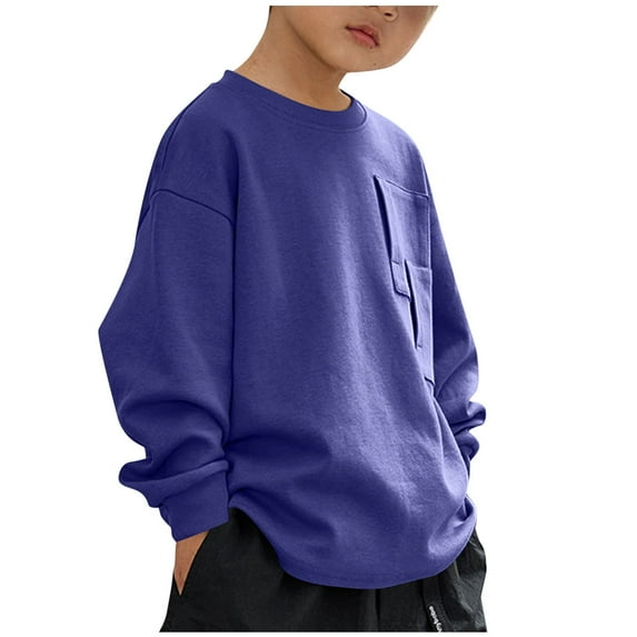 biudgviw Boys Girls Crewneck Sweatshirt Toddler Long Sleeve Solid ...