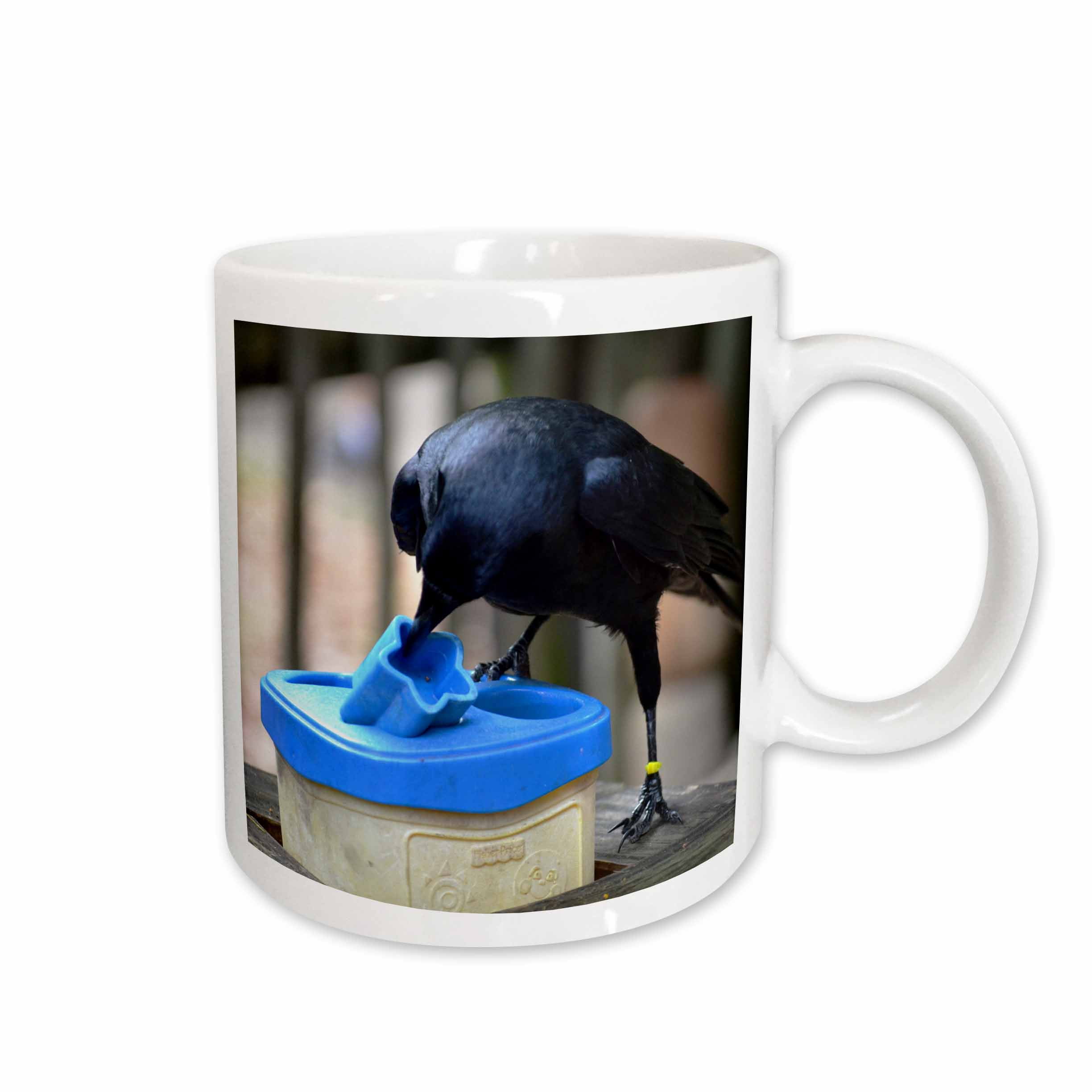 black crow shape sorting 11oz Mug mug-178423-1 - Walmart.com