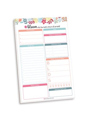 Daily Planners in Planners - Walmart.com