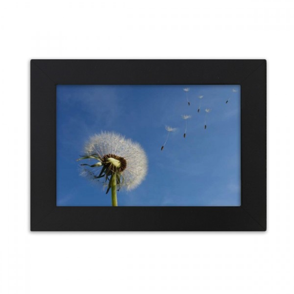 blue beautiful white dandelion desktop photo frame ornaments picture ...