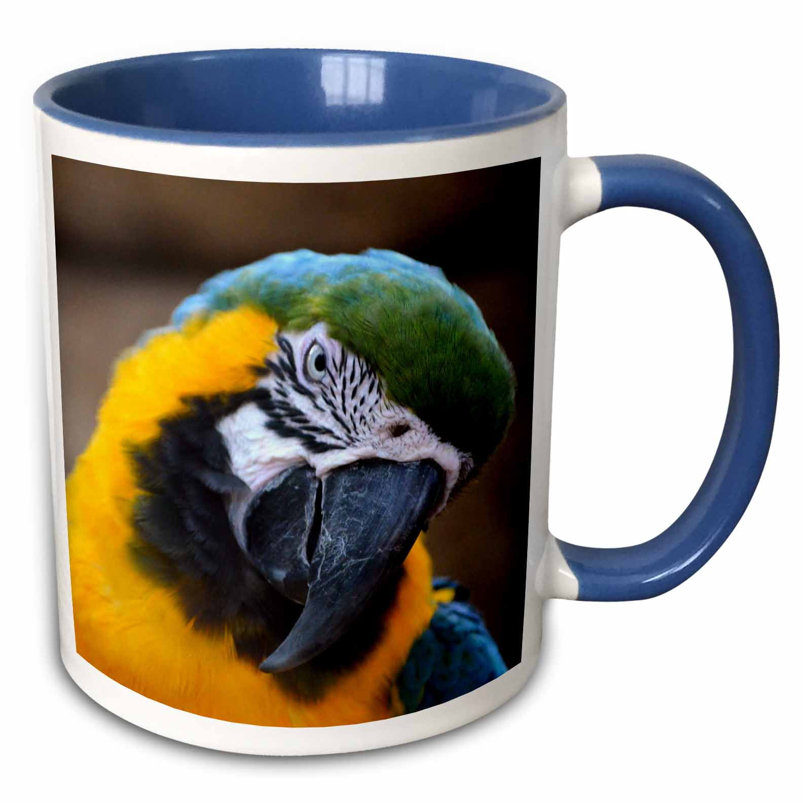 blue gold parrot macaw head tilted 11oz Two-Tone Blue Mug mug-178428-6 ...