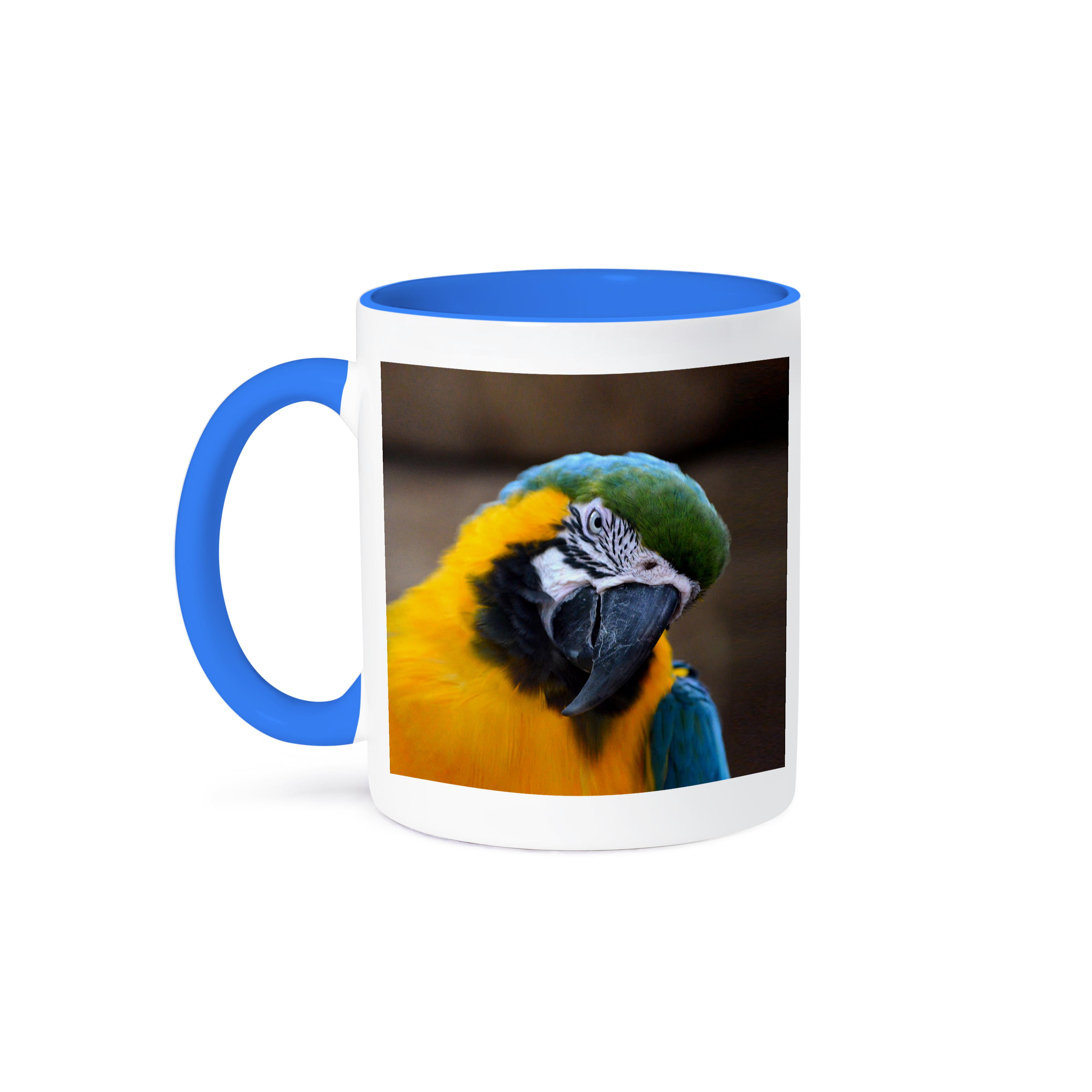 3dRose, blue gold parrot macaw head tilted, 11oz Two-Tone Blue Mug ...