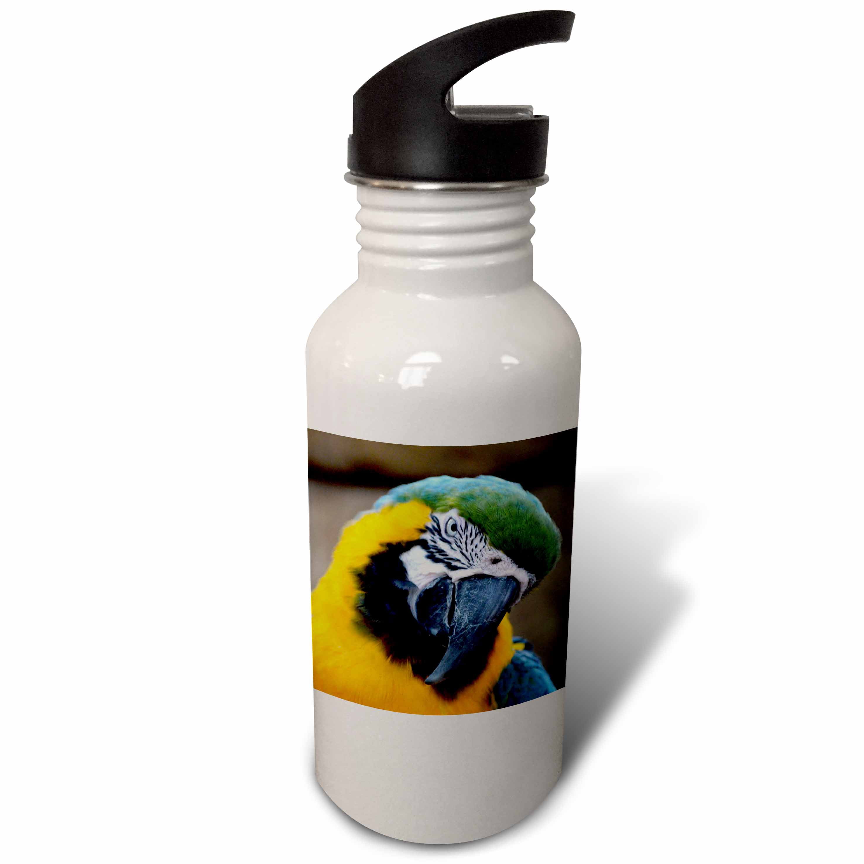 blue gold parrot macaw head tilted 21 oz Sports Water Bottle wb-178428 ...