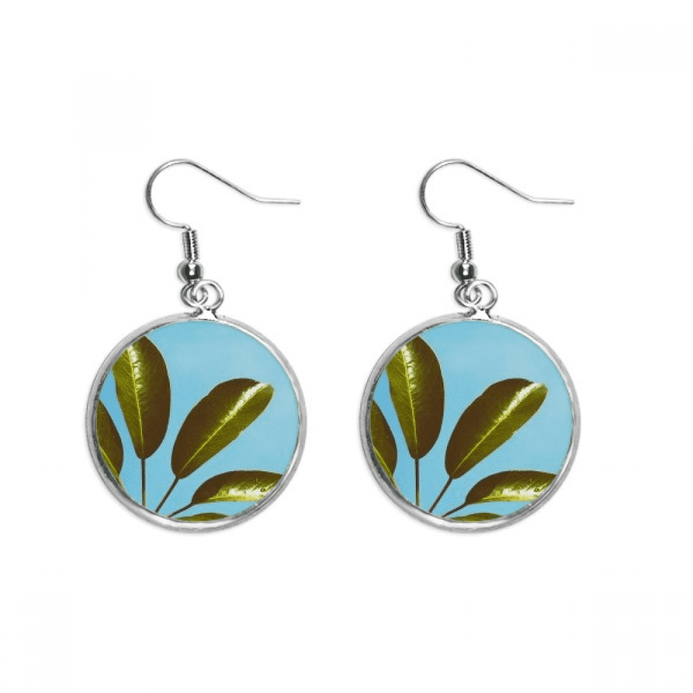 blue picture nature ear dangle silver drop ear jewelry woman - Walmart.com